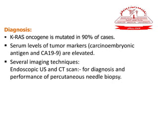 Pancreas 2 | PPT