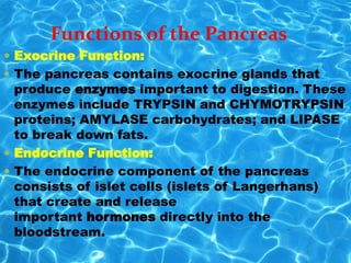 Pancreas | PPT | Free Download