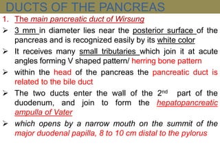 The Pancreas | PPTX