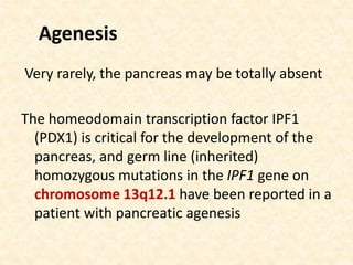pancreas.ppt