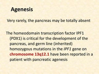 ppt on pancreas | PPT