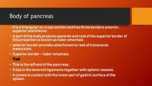 Pancreas.pptx