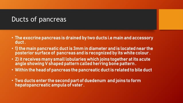 Pancreas.pptx