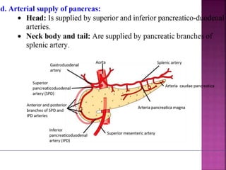 pancreas.pptx