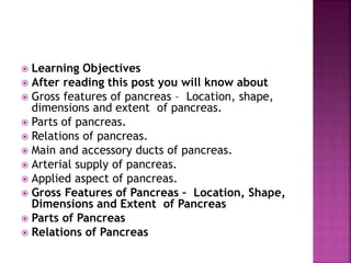 pancreas.pptx