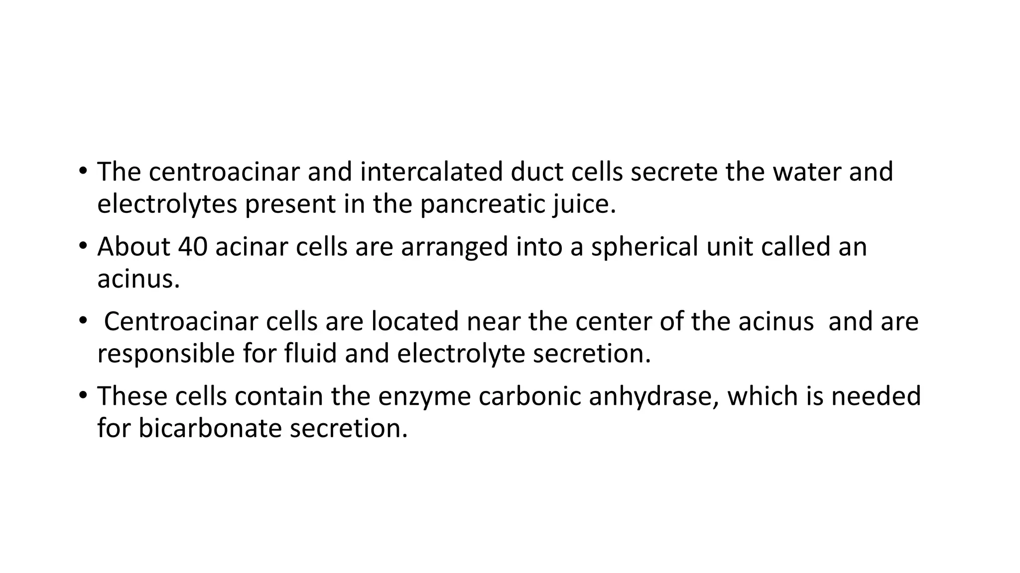PANCREAS.pptx | Endocrine and Metabolic Diseases | Diseases and Conditions