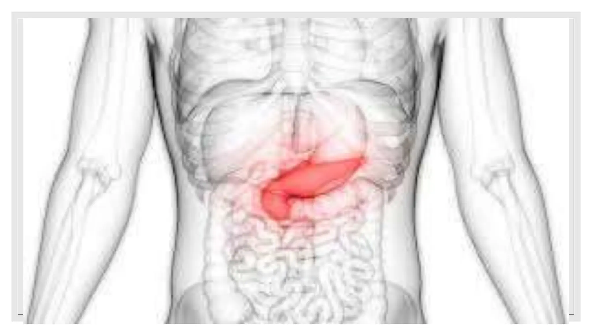 ANATOMY AND PHYSIOLOGY OF PANCREAS PPTX. | PPTX