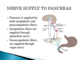 PANCREAS.ppt DIGESTIVE SYSTEM PHYSIOLOGY | PPT