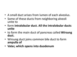 pancreas.pptxnnnnnnngjgjgdhdhggfdjgdrfdddg | PPT