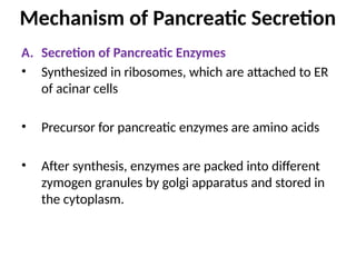 Pancreas and it's information 1 mbbs and other Sciences | PPTX