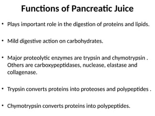 Pancreas and it's information 1 mbbs and other Sciences | PPTX