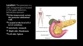 Pancreas gland/anatomy & physiology/microteaching | PPTX