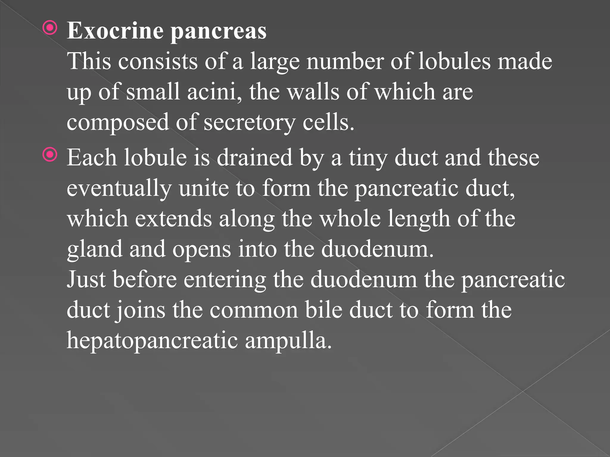 Pancreas.pptx well this is a file about pancrease | PPTX