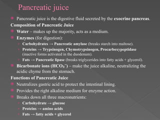 Pancreas.pptx well this is a file about pancrease | PPTX