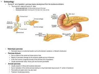 Comprehensive Overview of Pancreas: Embryology, Anatomy, Physiology ...