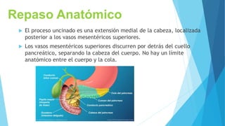Anatomía y bases de ecografía del Pancreas | PPTX