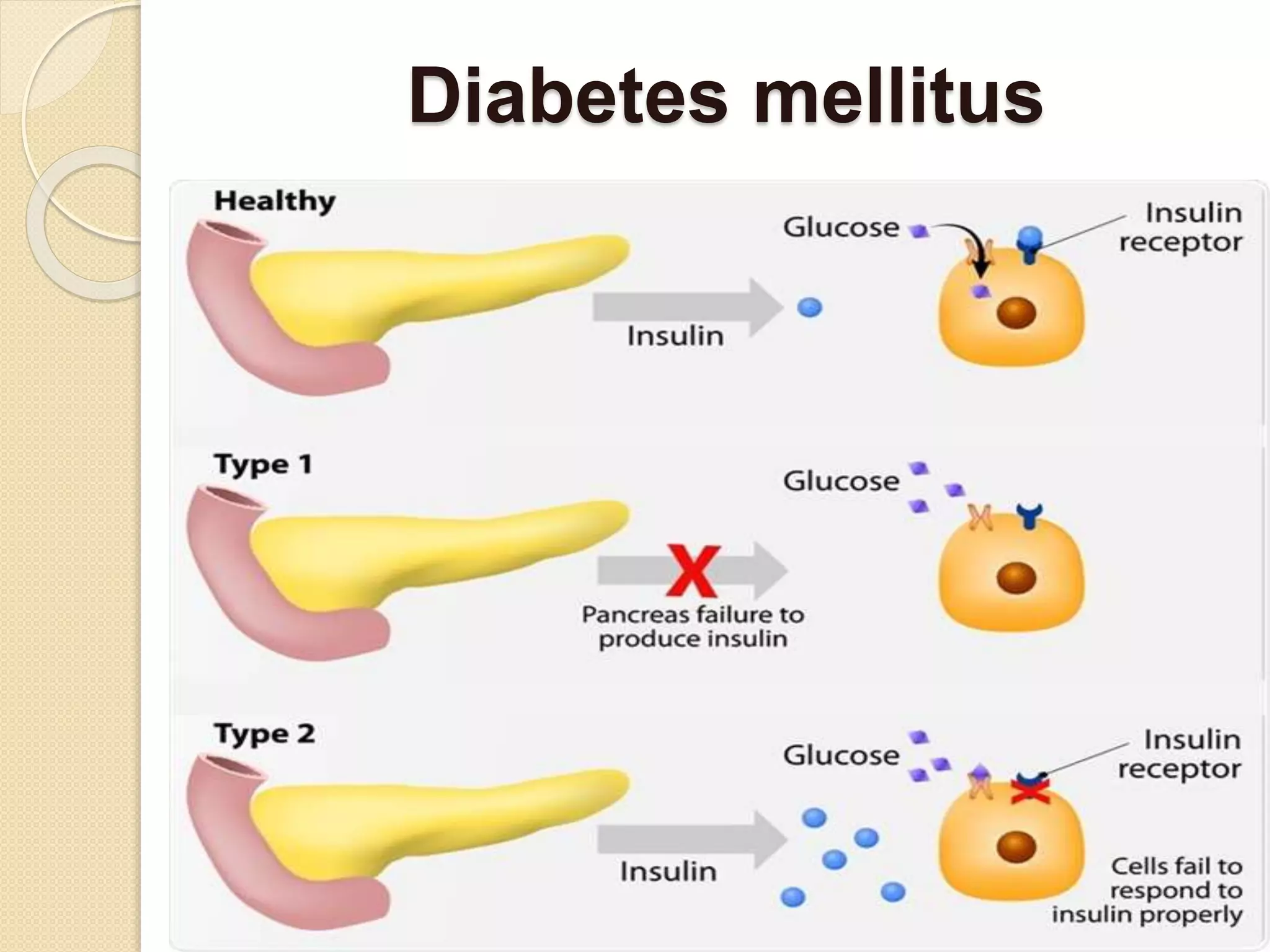 Pancreas endocrine function ppt | PPTX
