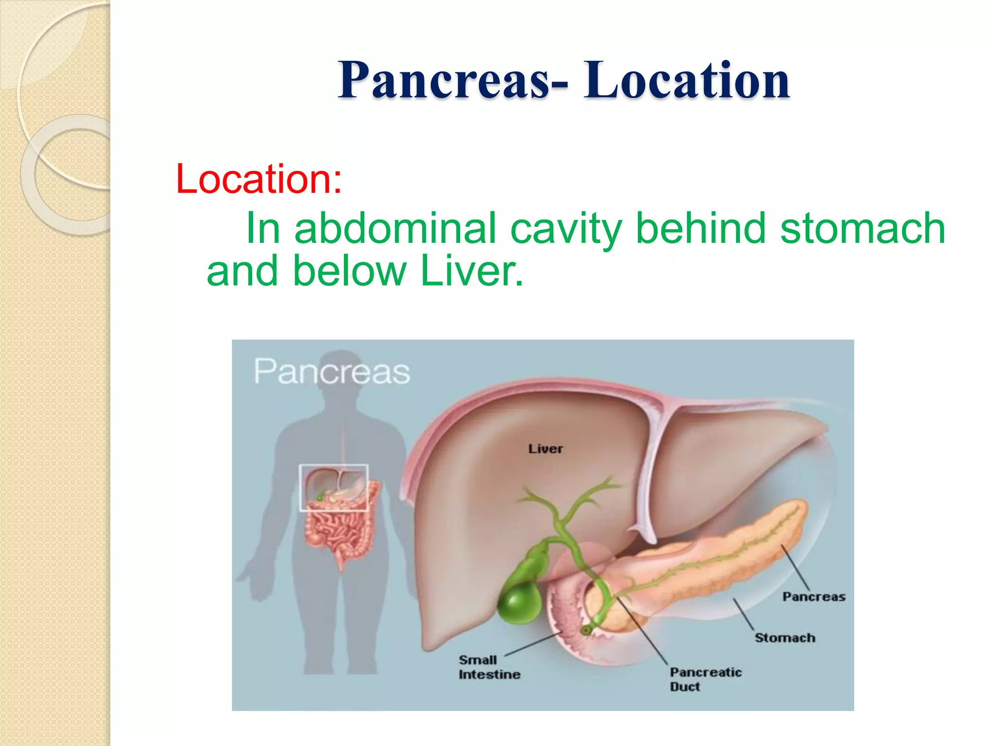 Pancreas endocrine function ppt | PPTX