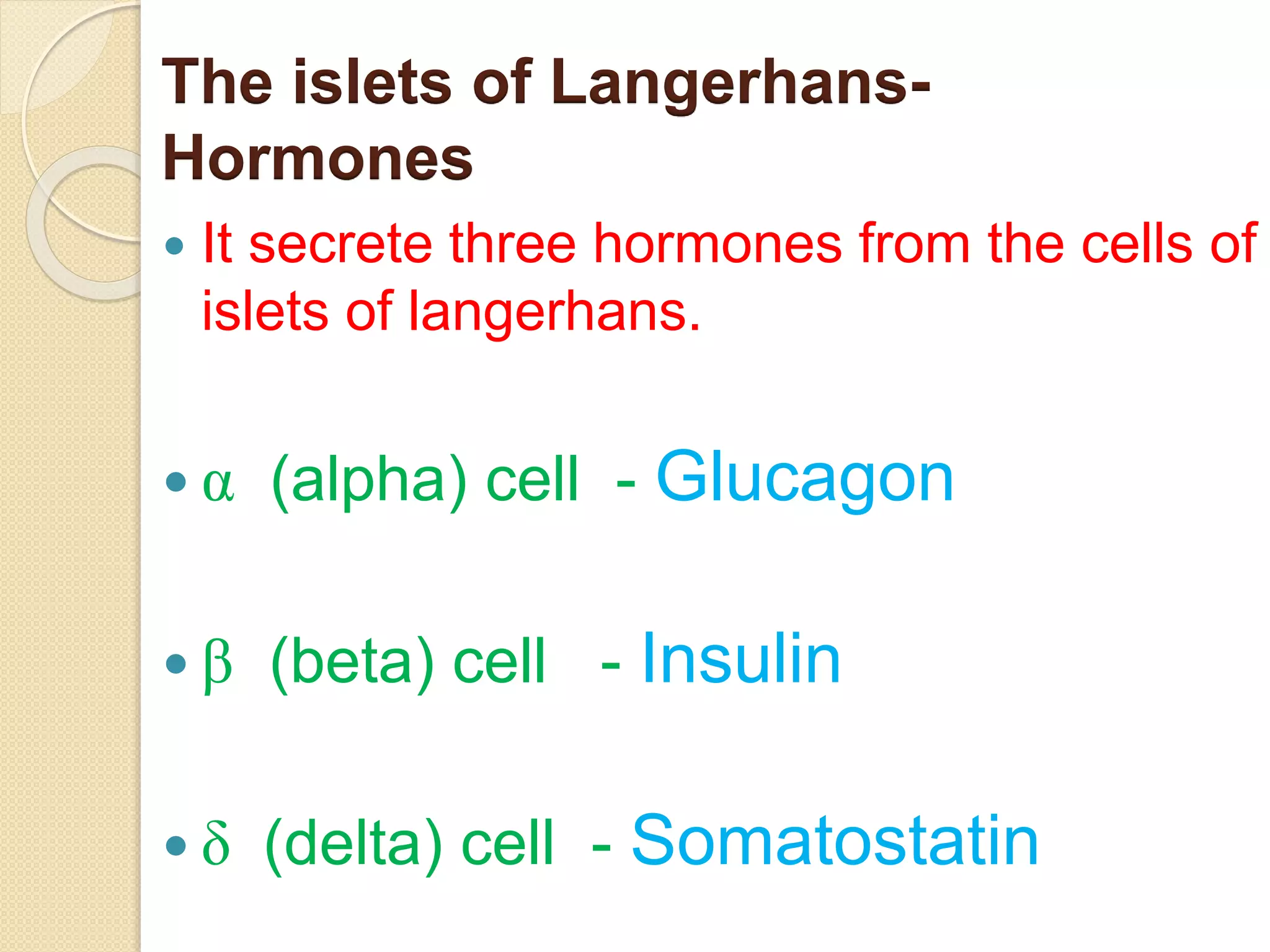 Pancreas endocrine function ppt | PPTX
