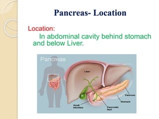 Pancreas endocrine function ppt | PPTX