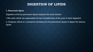 Pancreas- Lecture 5 of physiology for dpt | PPTX