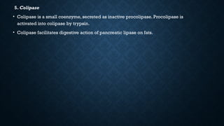 Pancreas- Lecture 5 of physiology for dpt | PPT