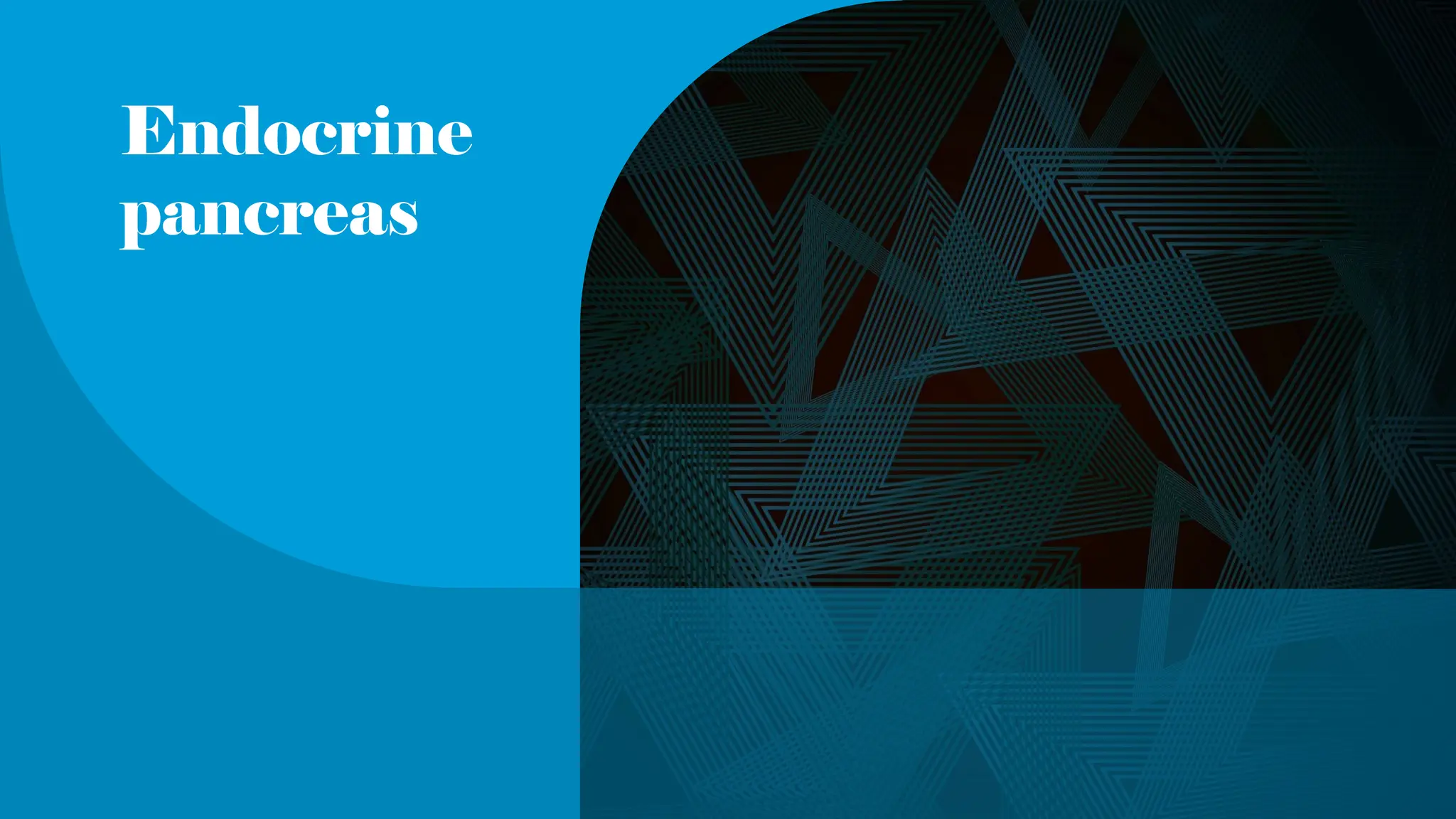 physiology of endocrine system ;pancreas | PPTX