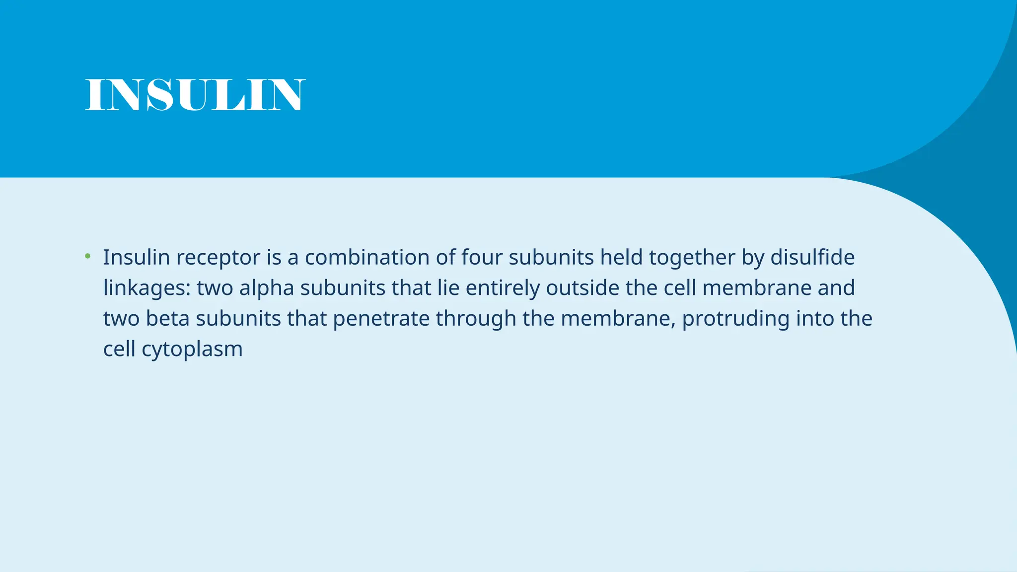 physiology of endocrine system ;pancreas | PPTX