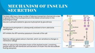 physiology of endocrine system ;pancreas | PPTX