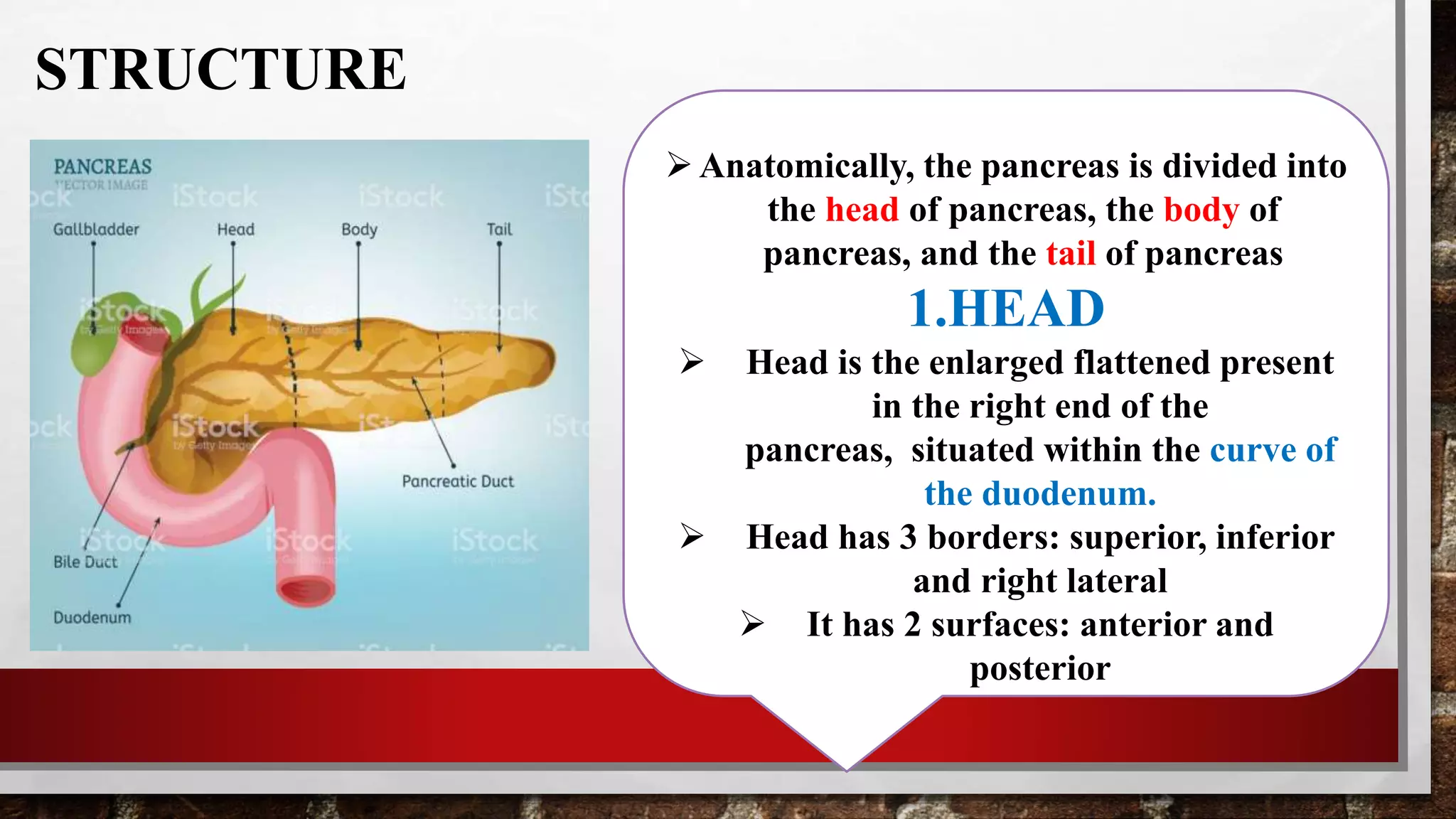 PANCREAS-ACCESSORY DIGESTIVE GLAND | PPTX