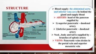 PANCREAS-ACCESSORY DIGESTIVE GLAND | PPTX