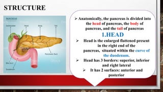 PANCREAS-ACCESSORY DIGESTIVE GLAND | PPTX