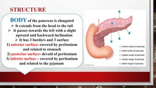 PANCREAS-ACCESSORY DIGESTIVE GLAND | PPTX