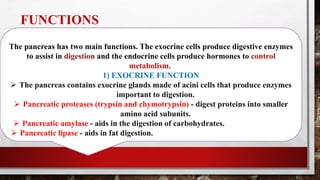 Pancreas Gland Function