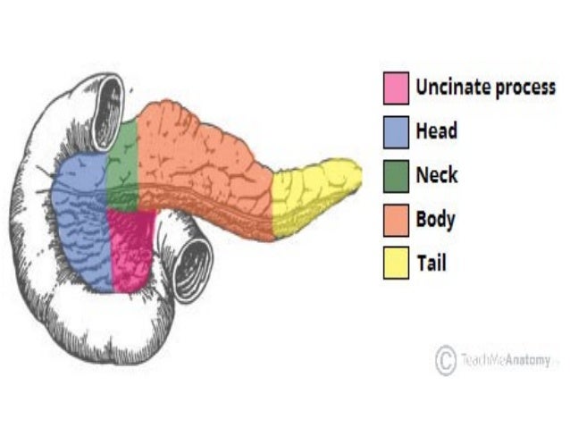 Benign and Malignant Tumors of The Pancreas