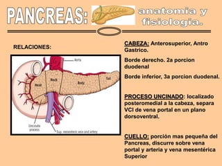 PANCREAS 2.pptx