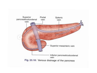 Pancreas 2.pdf