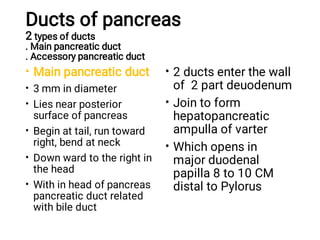 Pancreas 2.pdf