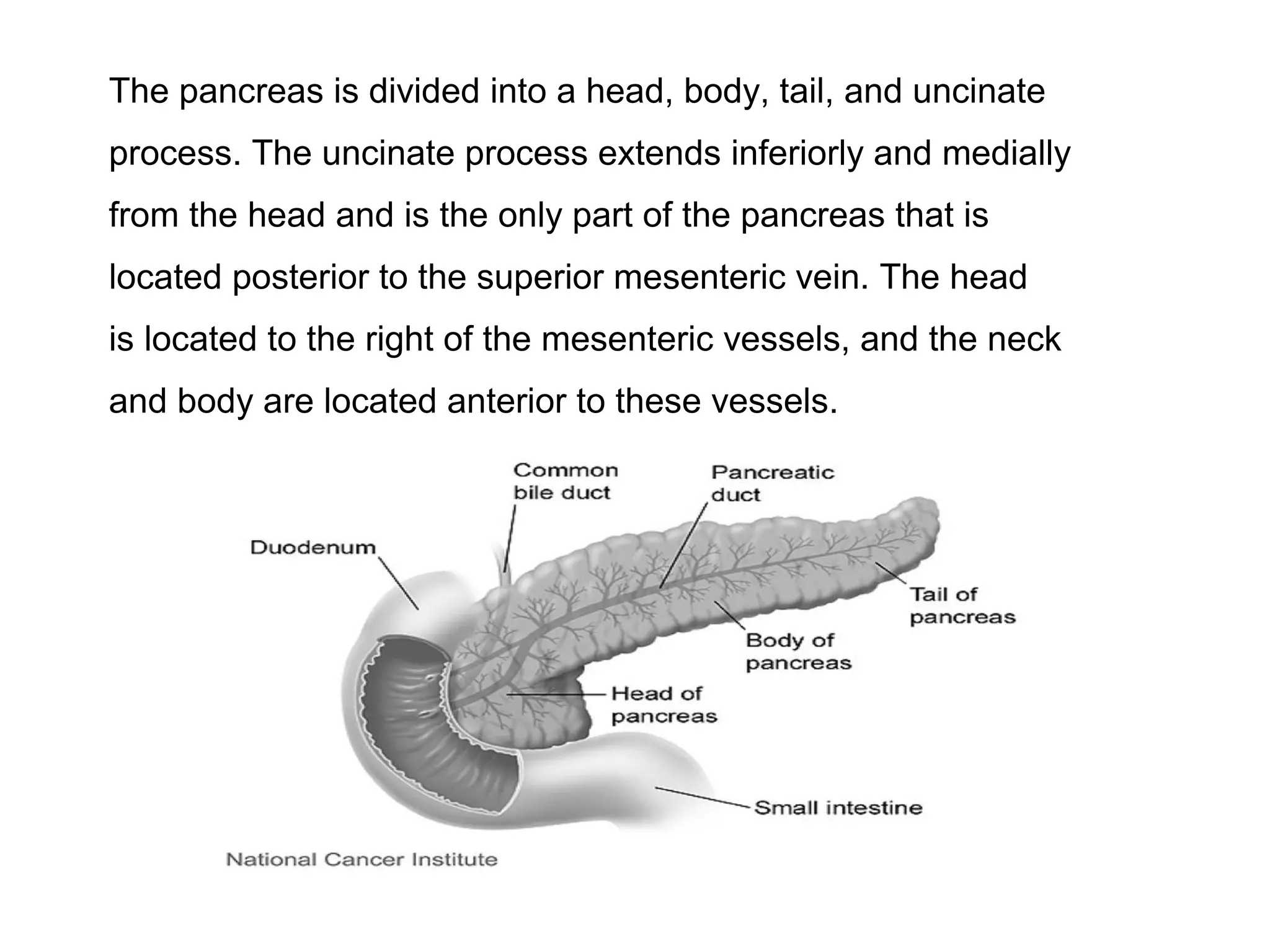 Pancreas ultrasound | PPT