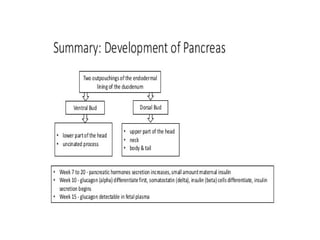Pancreas ultrasound | PPT