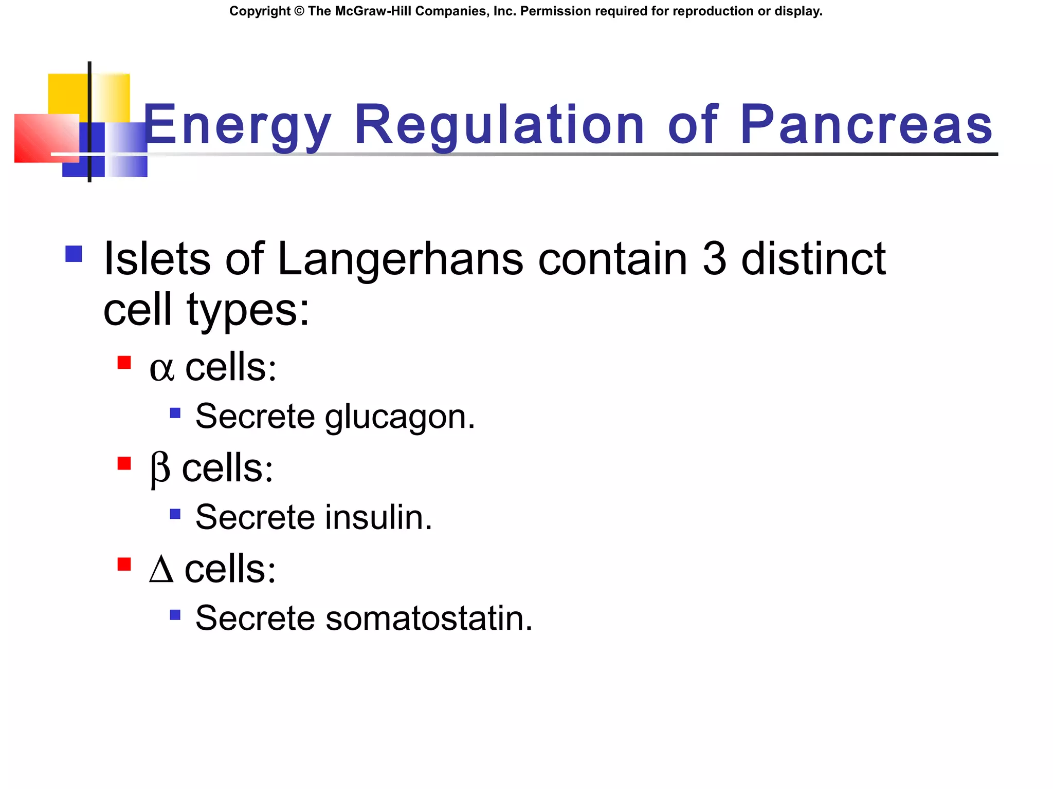 Pancreas 78 | PPT