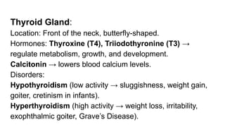 Pancreas & Adrenal glands endocrine systemppt.pptx