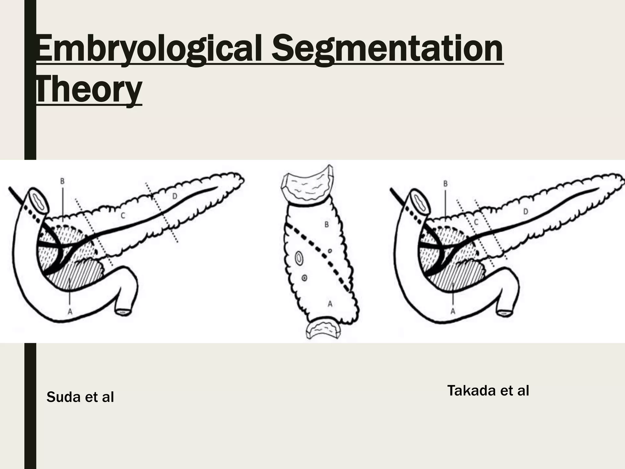 Pancreas anatomy for experts by Dr Harsh Shah(www.gastroclinix.com) | PPTX