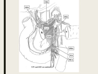Pancreas anatomy for experts by Dr Harsh Shah(www.gastroclinix.com) | PPTX