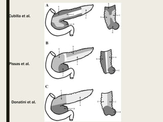 Pancreas anatomy for experts by Dr Harsh Shah(www.gastroclinix.com) | PPTX