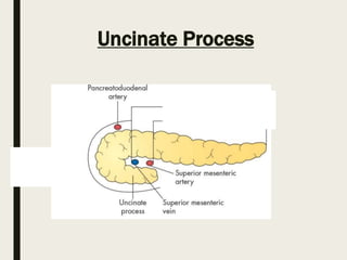 Pancreas anatomy for experts by Dr Harsh Shah(www.gastroclinix.com) | PPTX