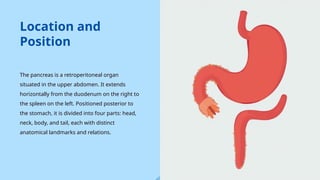 Pancreas Anatomy FOR DOCTORS AND STUDENTS | PPTX