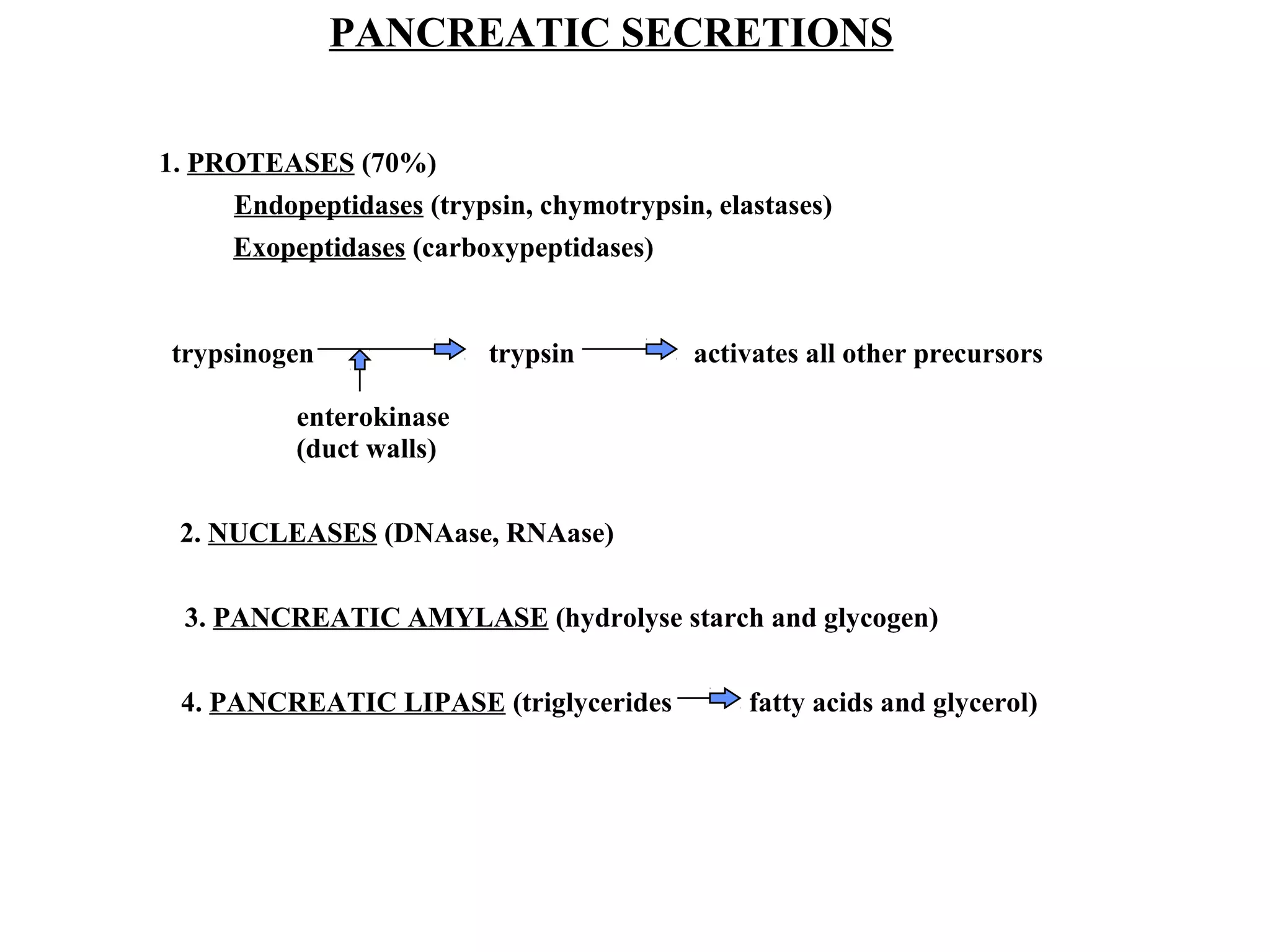 Pancreas anatomy and functions | PPT