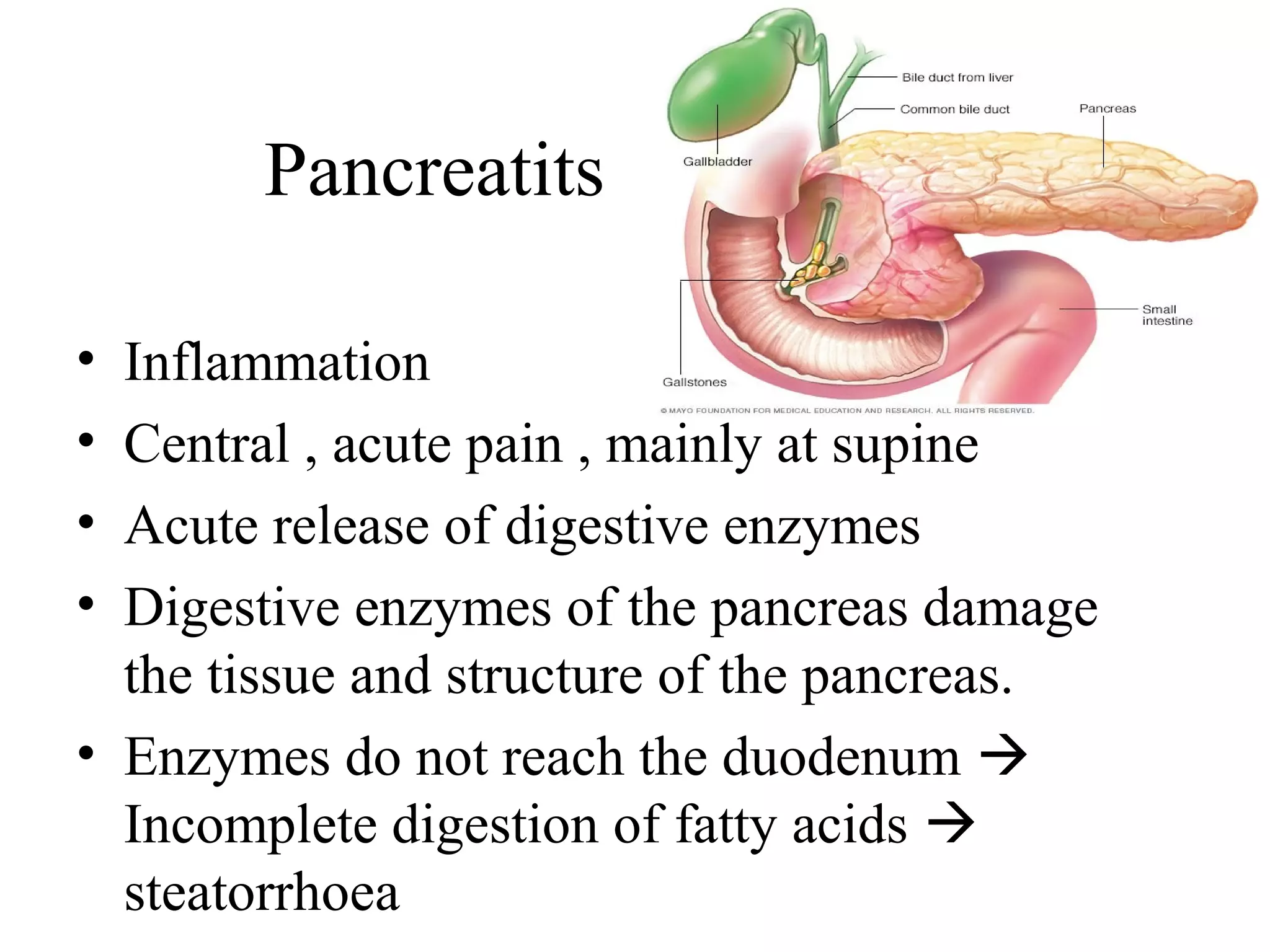 Pancreas anatomy and functions | PPT