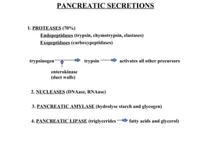 Pancreas anatomy and functions | PPT